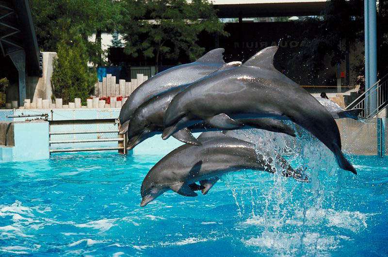 Beautiful South Africa: Bayworld – Port Elizabeth