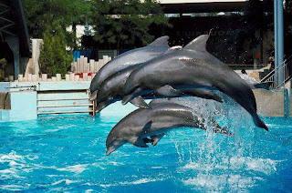 Beautiful South Africa: Bayworld – Port Elizabeth