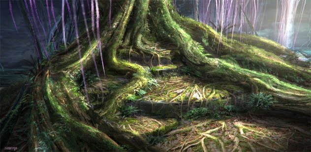 Theologi-Keal: Trees and Perceptions