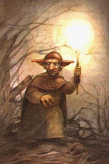 ROSANA EN EL PAÍS DE LAS HADAS: Duendes Reales