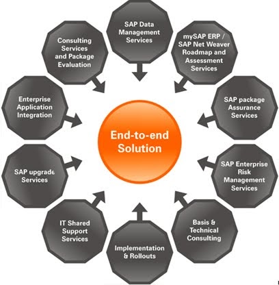 Interesting Spot: Phases in SAP implementation