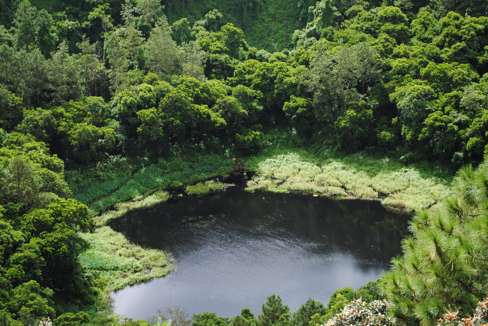 Dormant Volcano "Trou aux Cerfs" in Mauritius (PHOTOS) : Places : BOOMSbeat