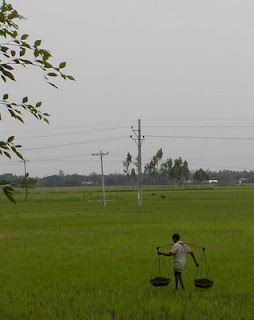 Energy for Development and Poverty Reduction: Eight Steps to Successful ...