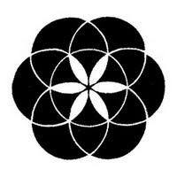 Ahora Vive consciencia armonía: FLOR MISTICA Y LAS 13 HELICES DE ADN