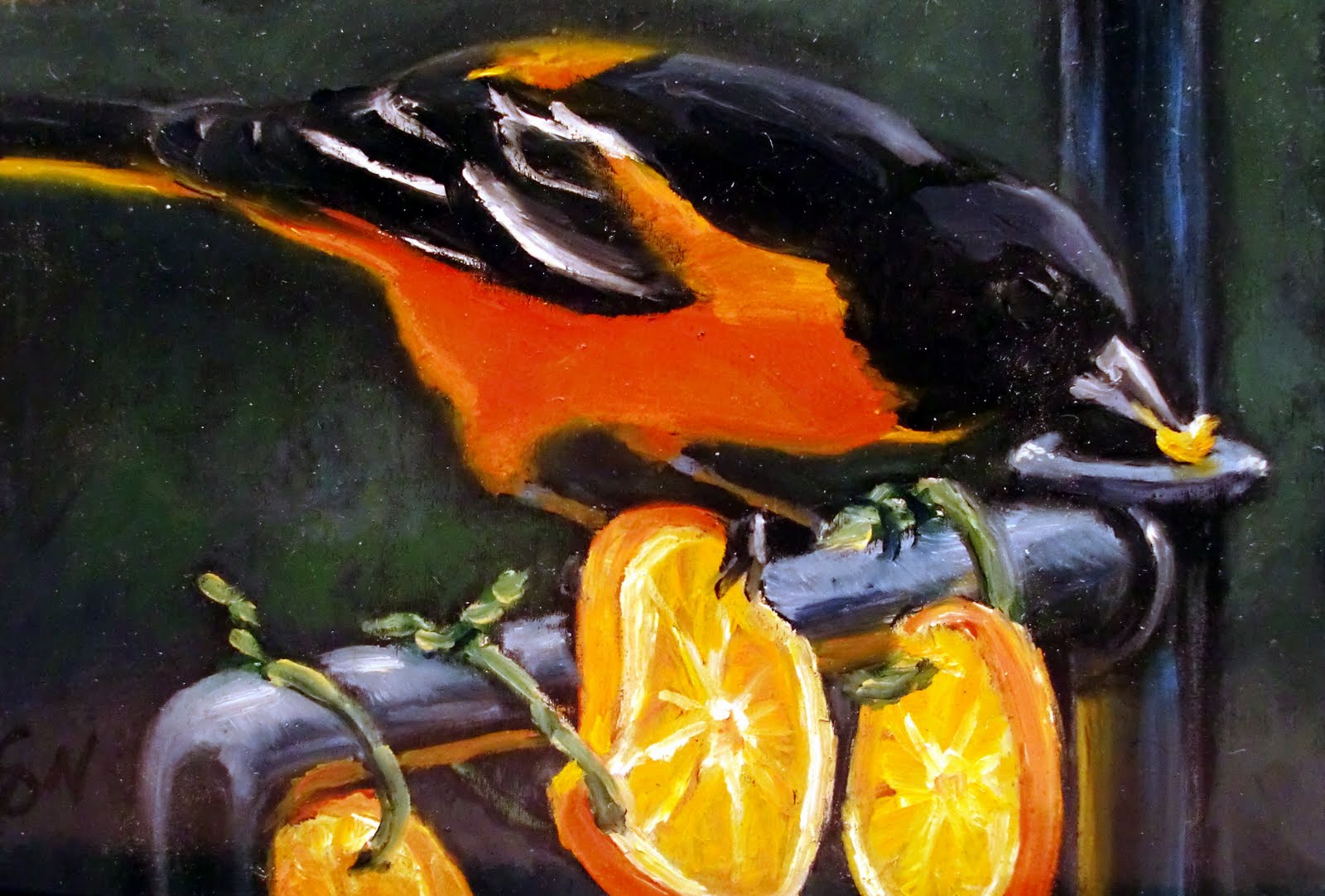 CAROL NELSON FINE ART BLOG: Bird Series - Baltimore Oriole, © Carol ...
