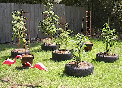 Louisiana Town: REDNECK GARDEN UPDATE!!!