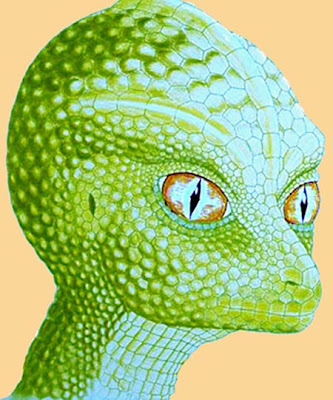 Unveiled Secrets and Messages of Light: THE LACERTA FILES