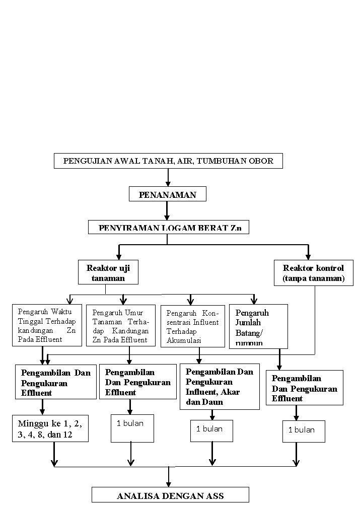 Himpunan Mahasiswa Teknik Lingkungan Universitas Serambi Mekkah (USM ...