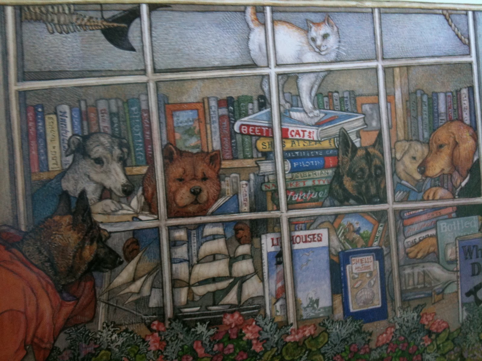 Bibliophile By the Sea: 131 - Comet's Nine Lives; Jan Brett