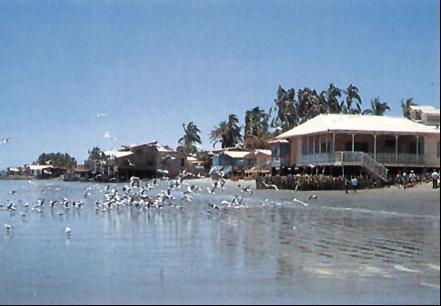 Colan y sus maravillas