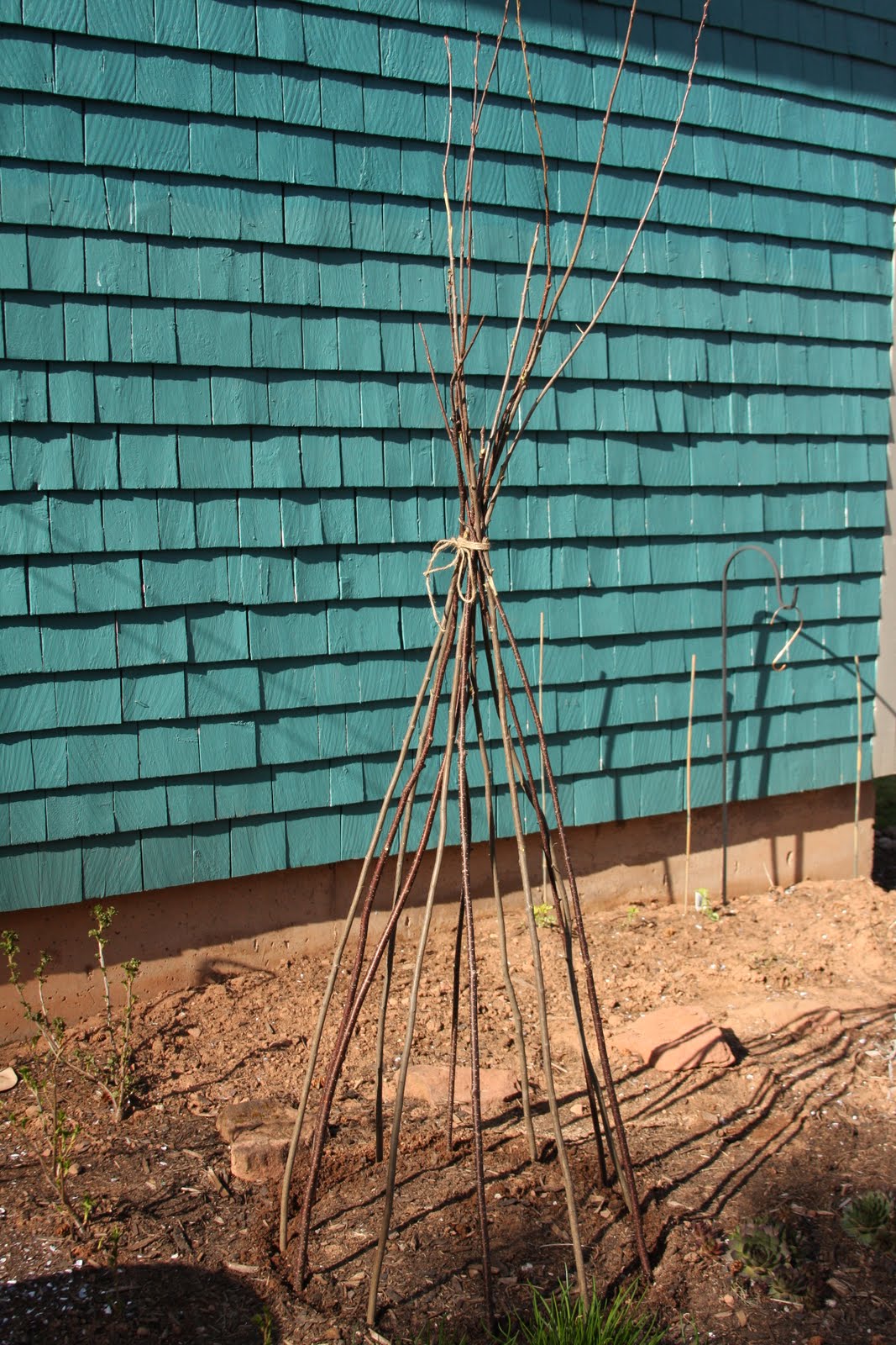 At My Mother's Knee: Homemade Garden Obelisk