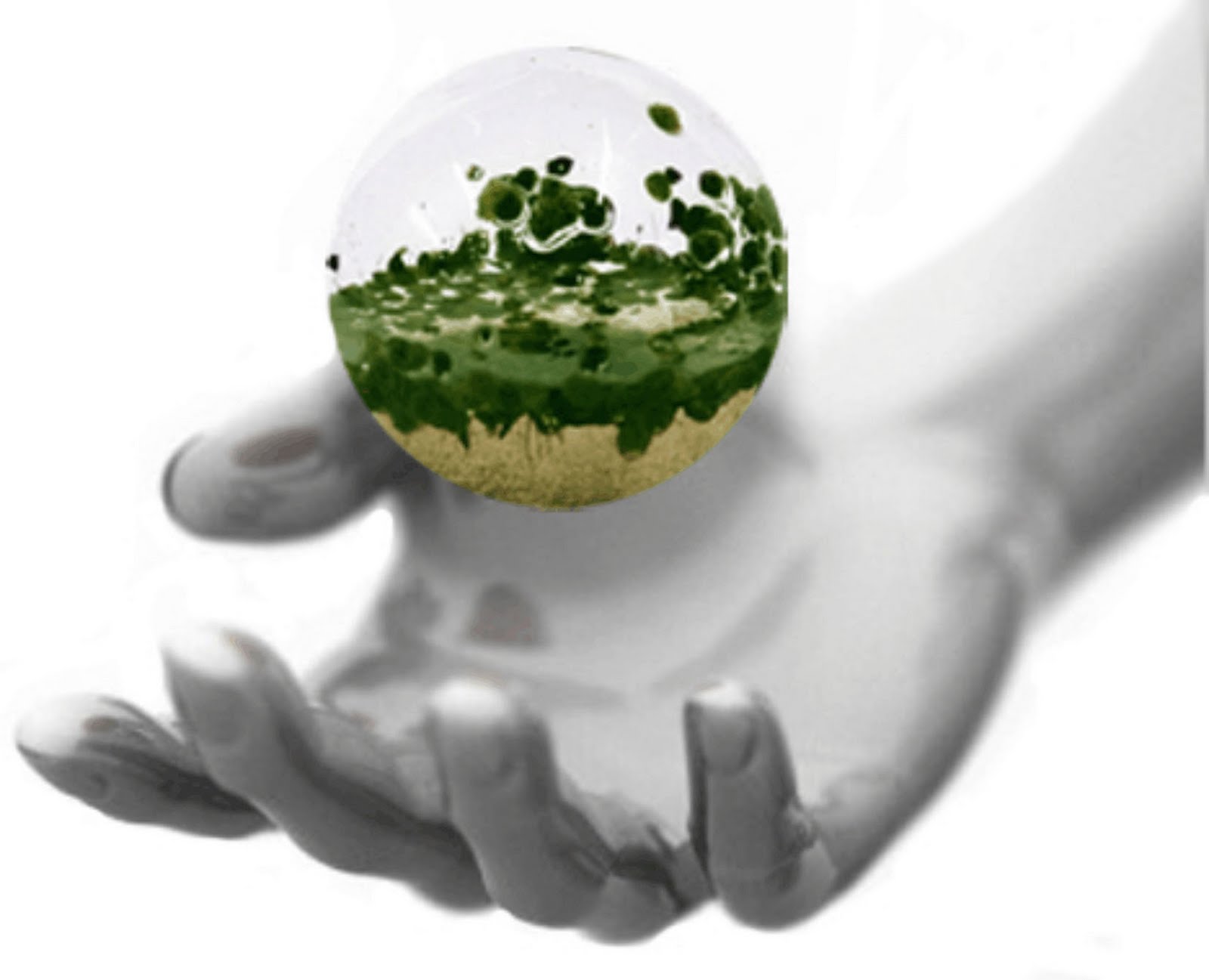 Documentación para la Didáctica-Libart: Concepto Biósfera