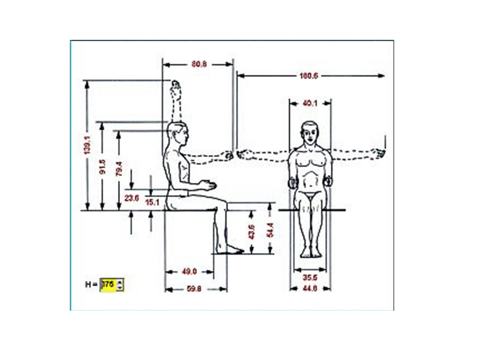 LE dISeÑE 0: AlGuNaS MeDIdaS Y cAMpoS aNtroPOmeTRicos