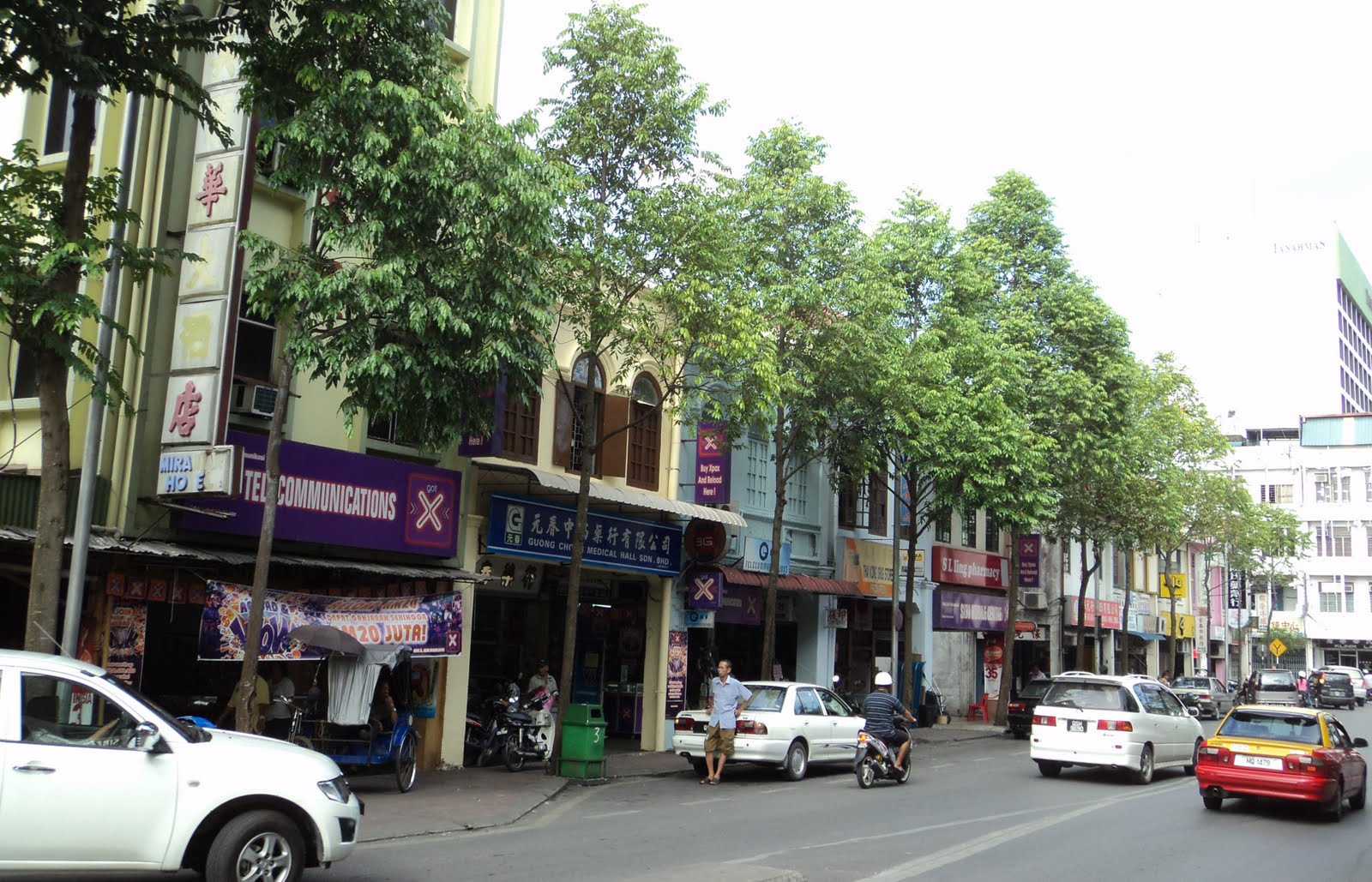 Laman Kambatik Plants list (3rd ed.): Hopea odorata ( Merawan siput jantan)