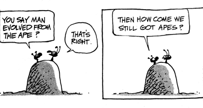 Proto-Knowledge: Some common misconceptions about evolution