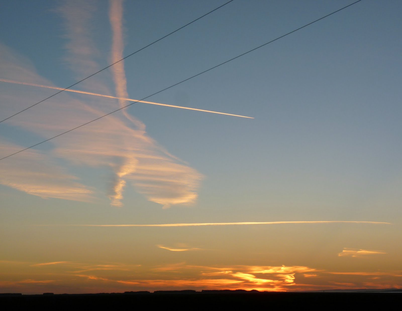 Wild and Wonderful: August 2010