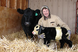 THE WESTERNER: Rare panda cow born on farm near Campion