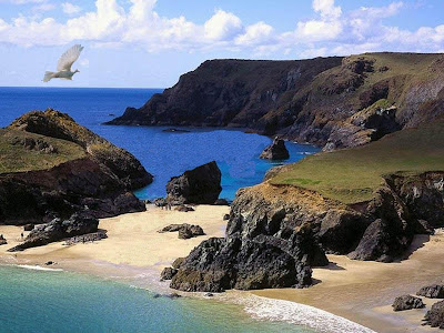 Estefi: paisaje modificado