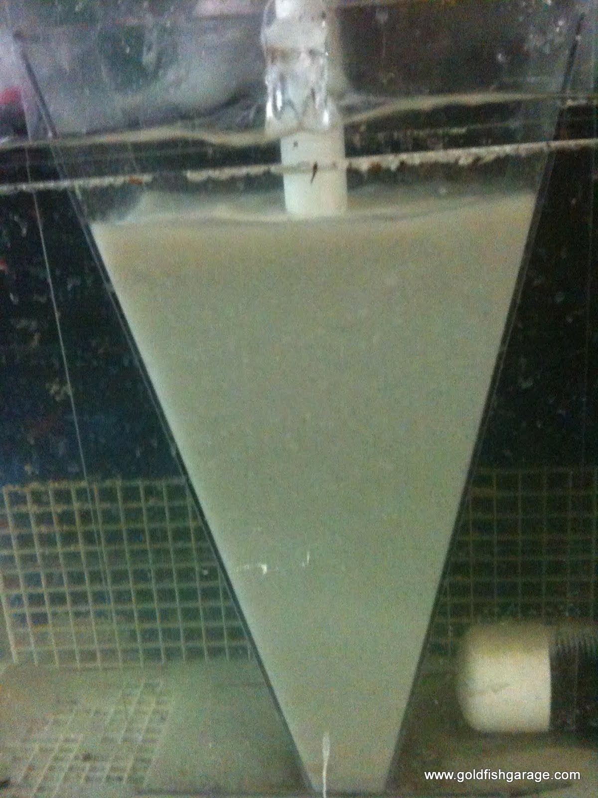 Goldfish Garage: A Two Car Fishroom: The Power of Fluidized Sand