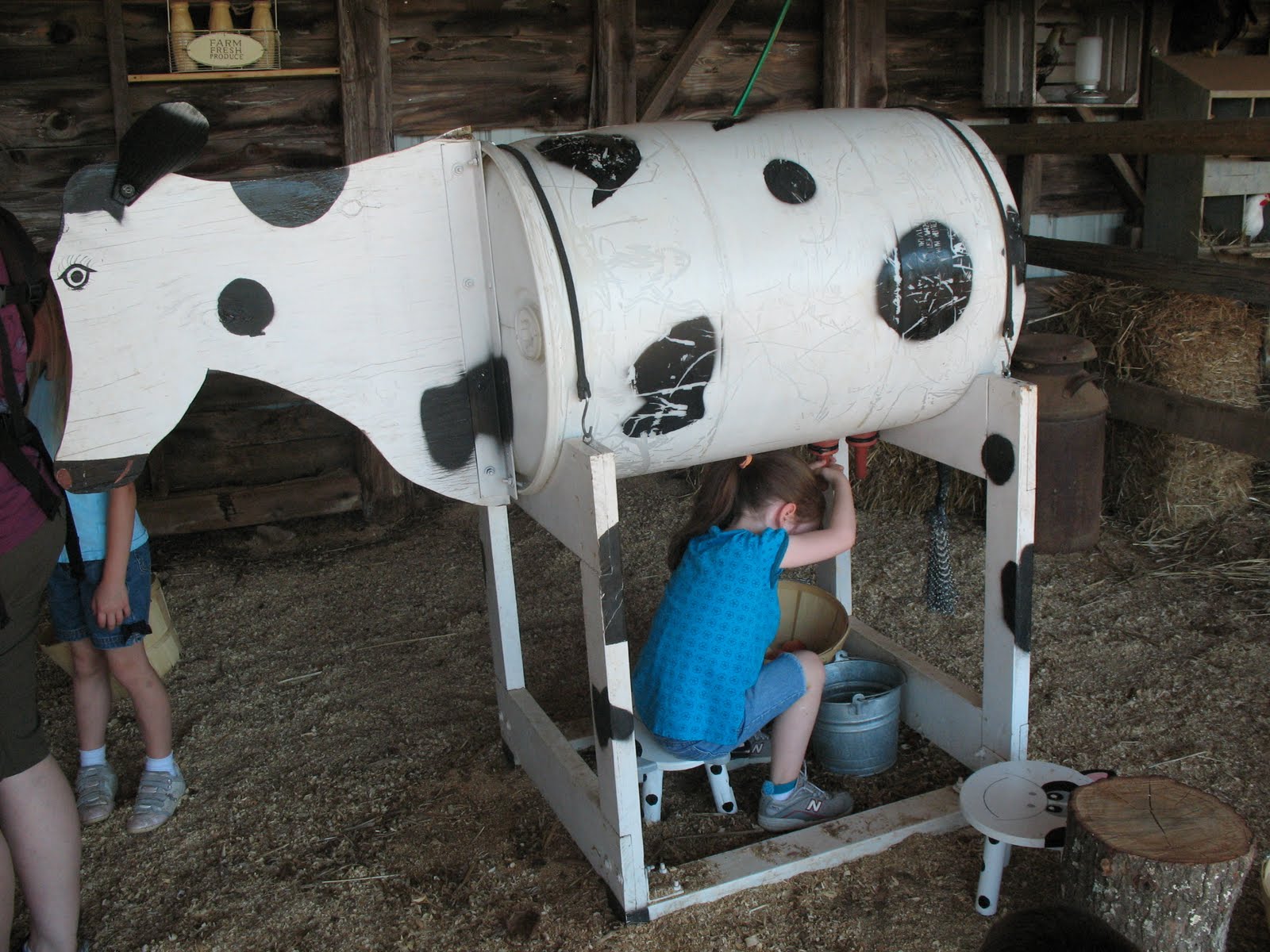 Thoroughly Blessed: Patterson Farm field trip