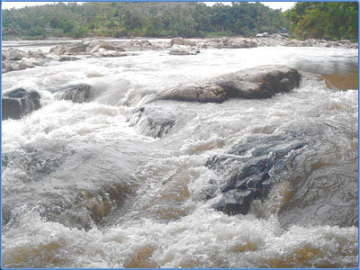 Wild Adventure - Central Borneo island: Katingan river flow in
