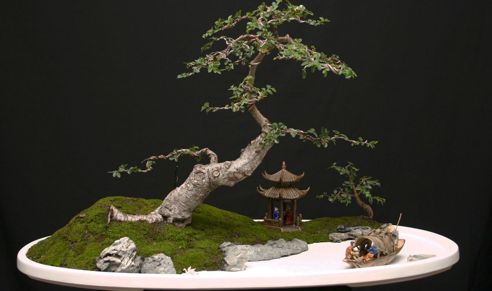 Penjing | Bonsai garden, Bonsai tree, Bonsai styles