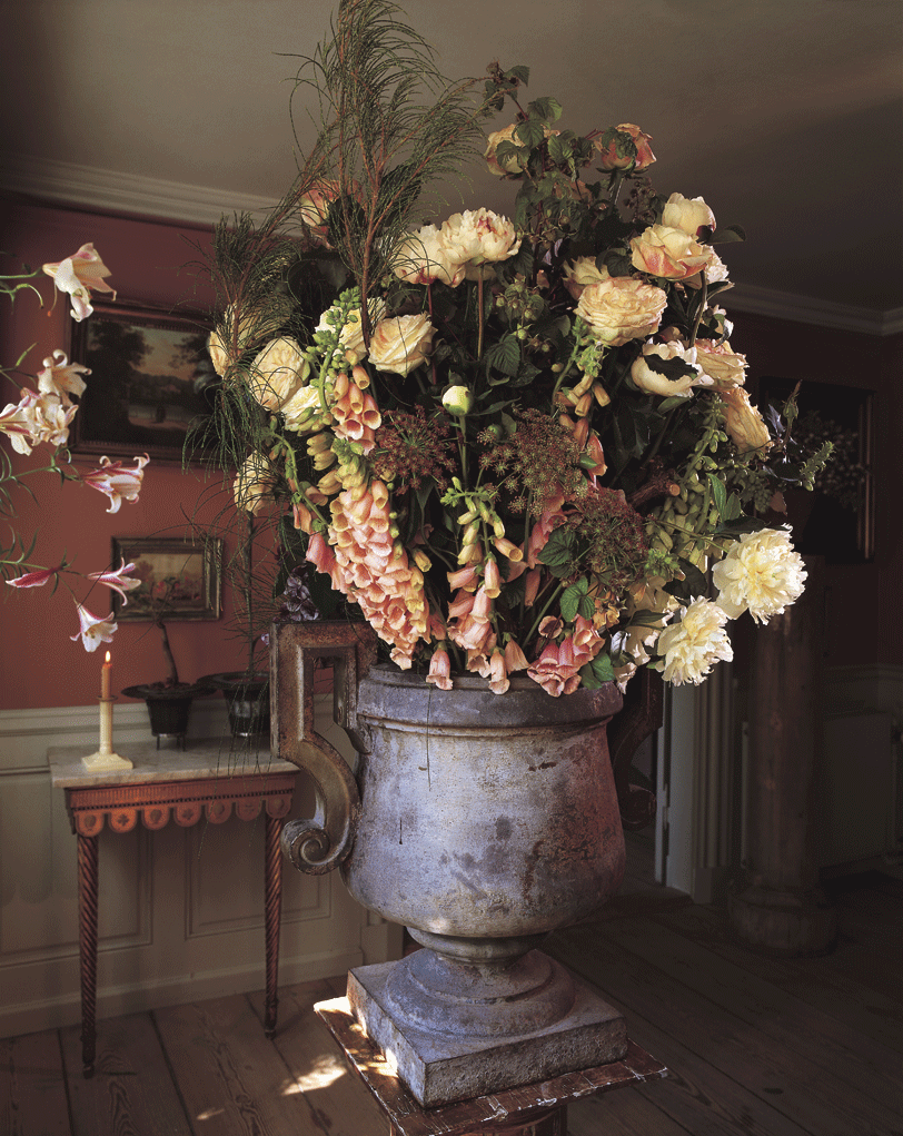 paradis express: Tage Andersen