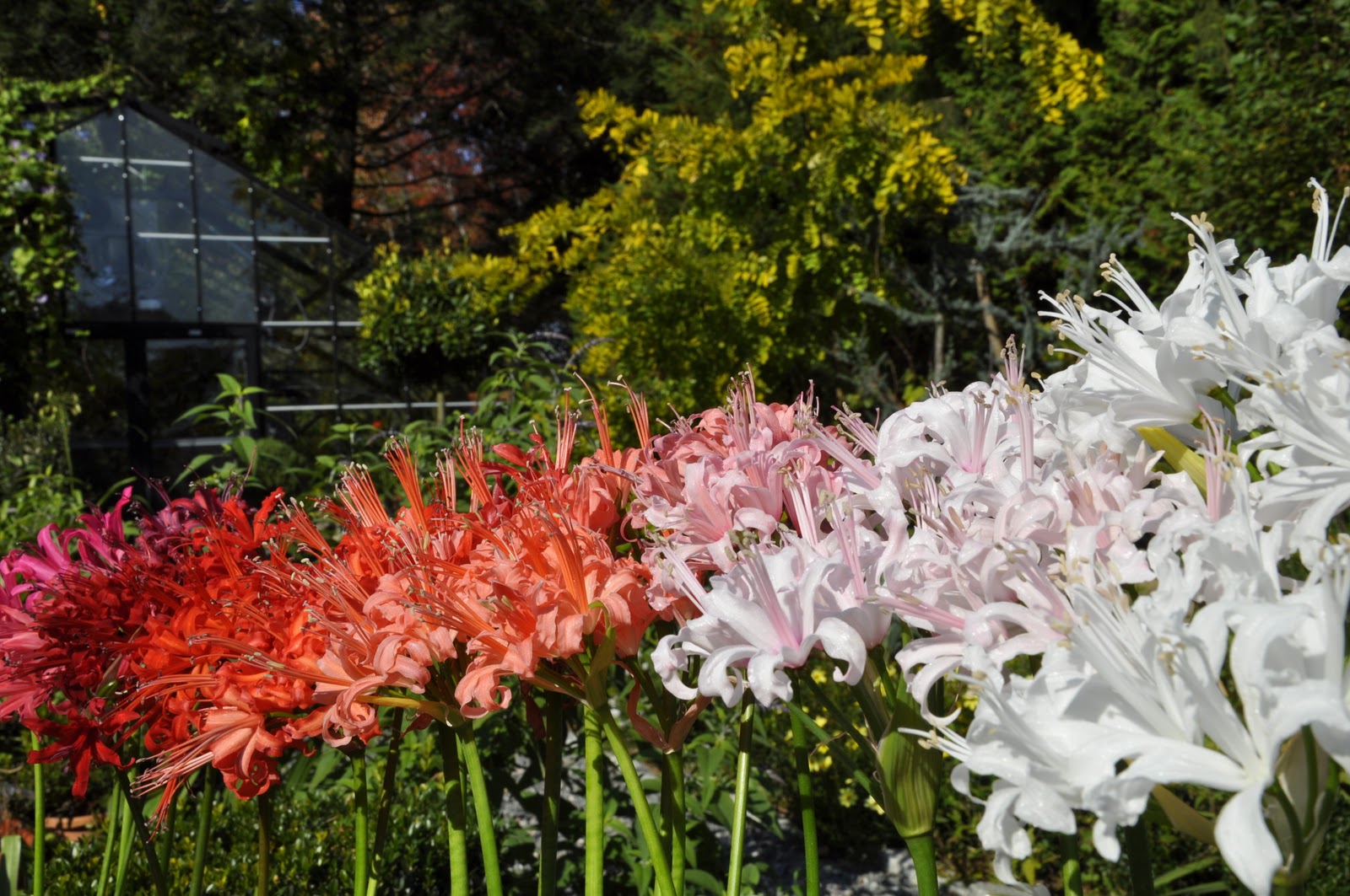 paradis express: Matt Mattus