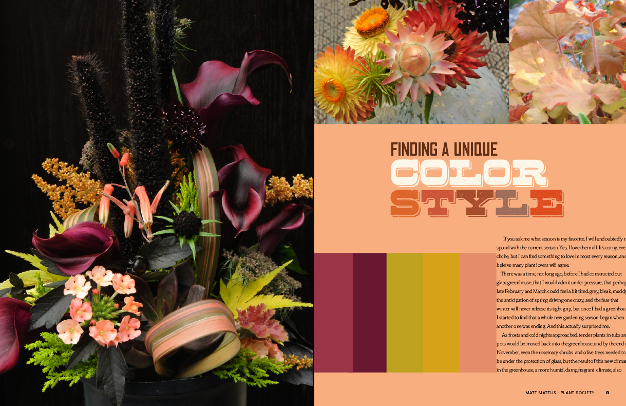 paradis express: Matt Mattus