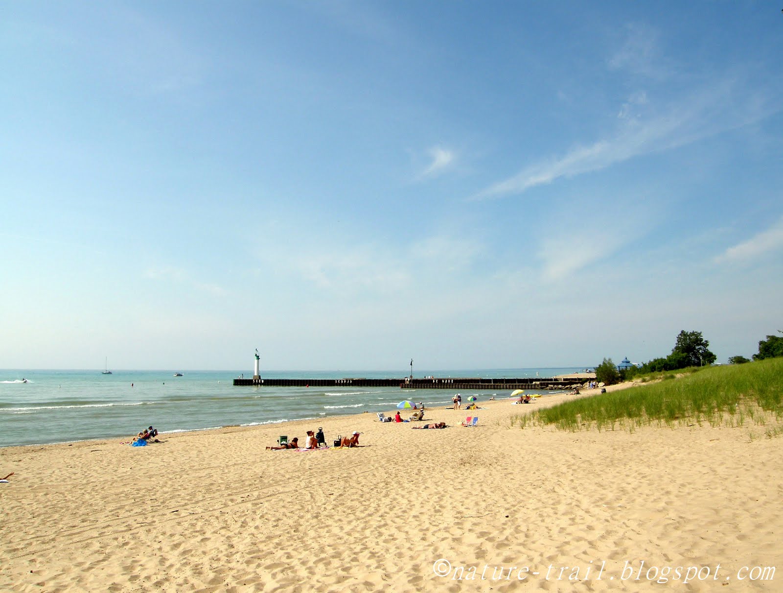NATURE TRAIL: At the Beach