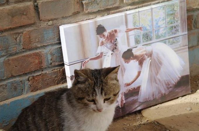 Free Pics Download !!: Some Double Meaning Photos!! ;)