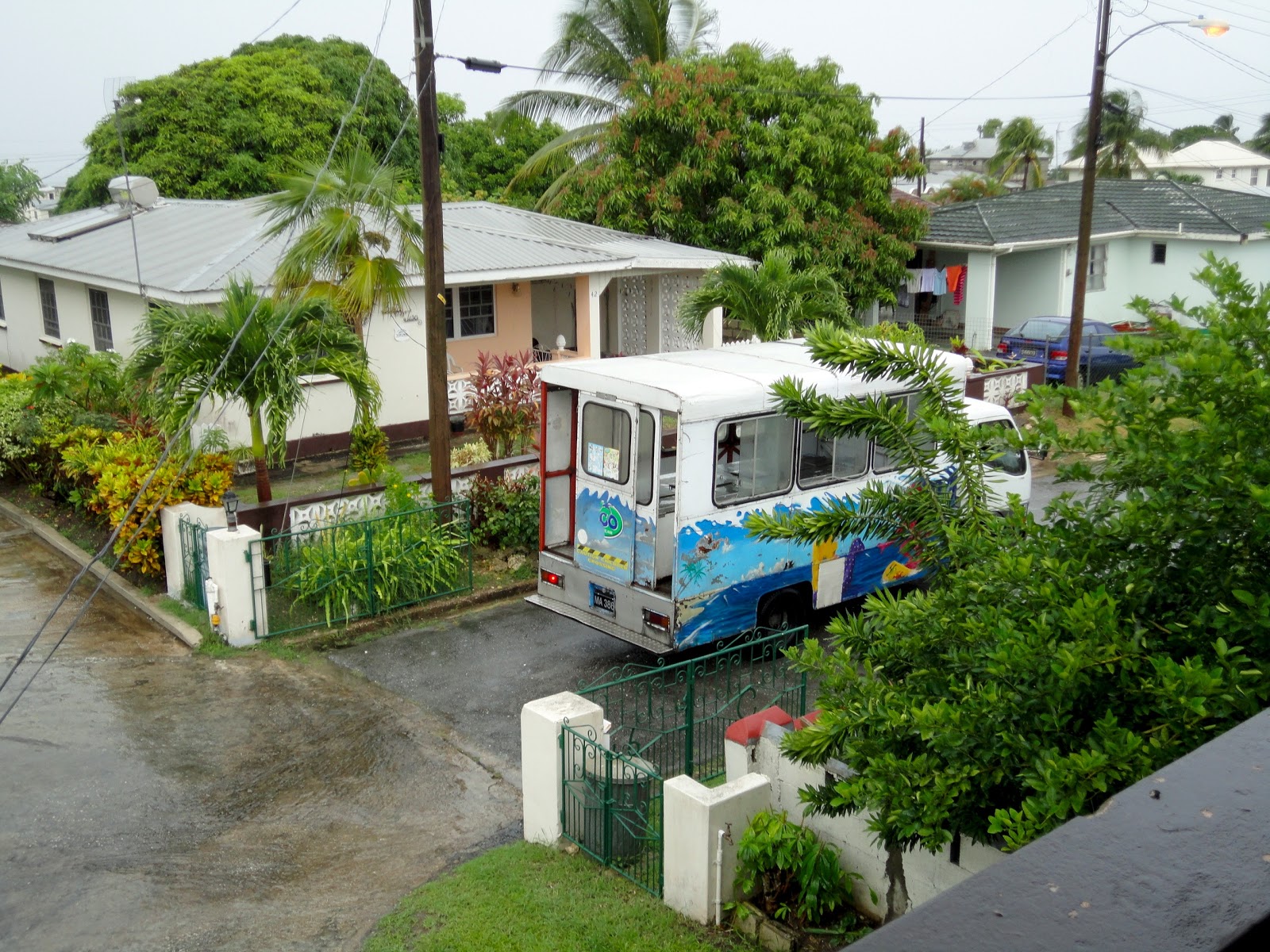 CHUI'S FLYLEAF: Barbados: Roundabouts, Sand Dollars and Pablo