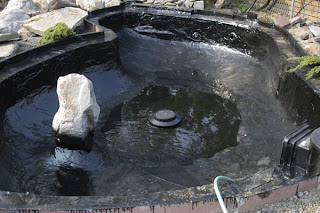 USA Koi's Blog: Polyurea spray pond liner
