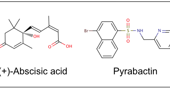 The Abscisic Acid Aba Pathways Affecting The Heat Response In Plants