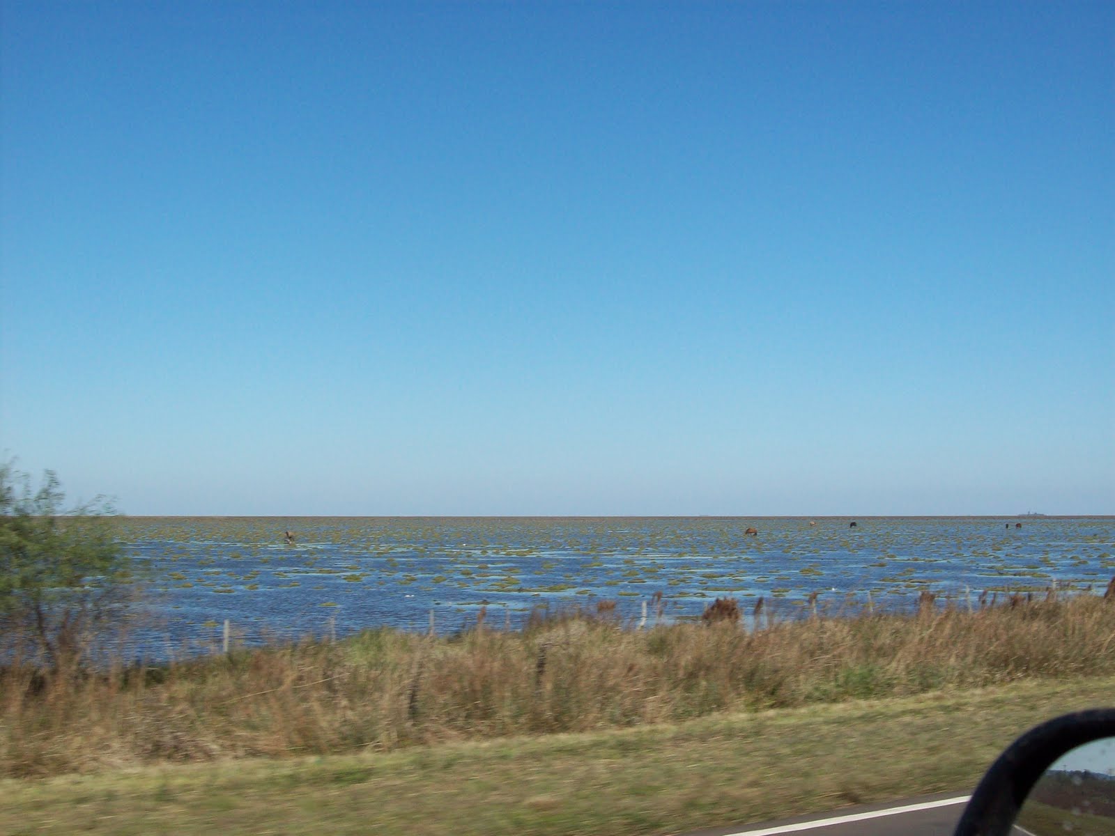 Viajando ...: Perugorria - Corrientes -