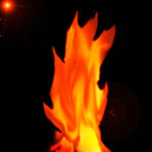 Zoe's Lord of the Flies Blog