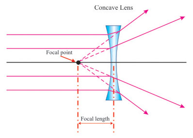 Science Class and More