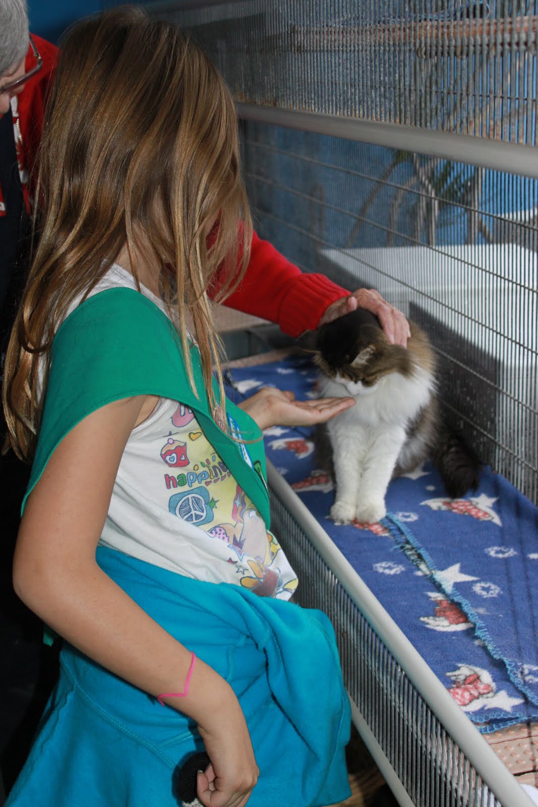 HUNTINGTON BEACH GIRL SCOUT TROOP 746: MEOW! THAT IS "I LOVE YOU" IN ...