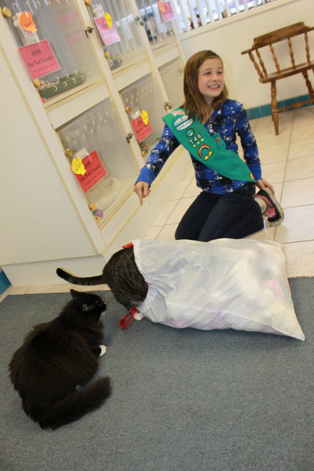 HUNTINGTON BEACH GIRL SCOUT TROOP 746: MEOW! THAT IS "I LOVE YOU" IN ...