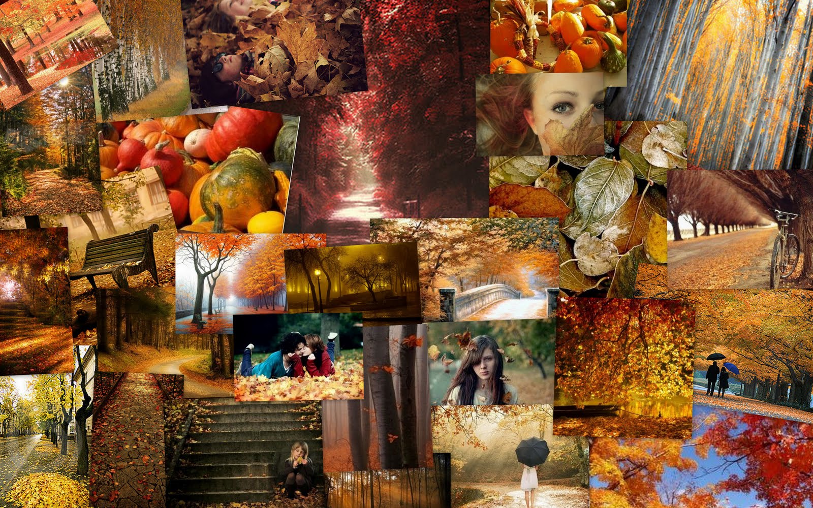 Elements for Inspiration