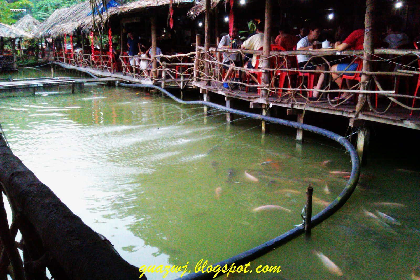 Sharing ★ 分享 ★: [FOOD] Thai fish farm restaurant @ Hulu Langat Ampang