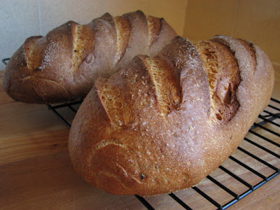the barmy baker: Pan Marino (Rosemary Bread)