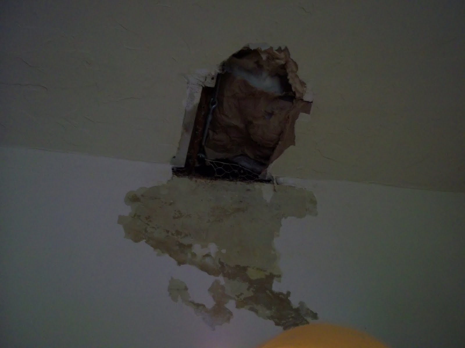 BRING COLOR INTO YOUR LIFE: 12/1/10