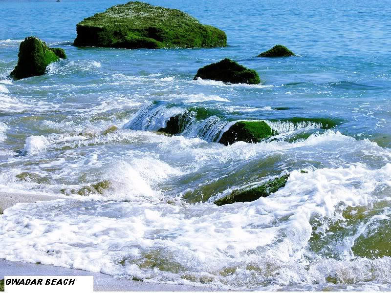 Coast of world: antroduction gwadar