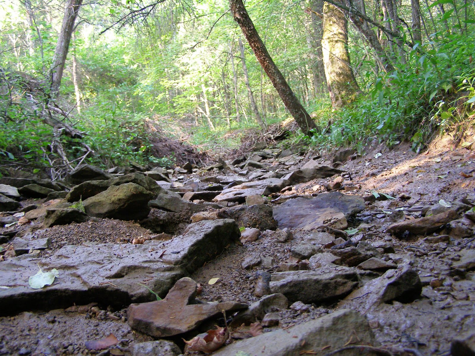 Spring Creek Rocks