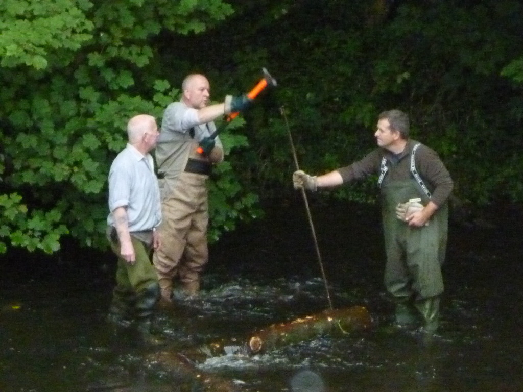 DNMAC River Goyt restoration