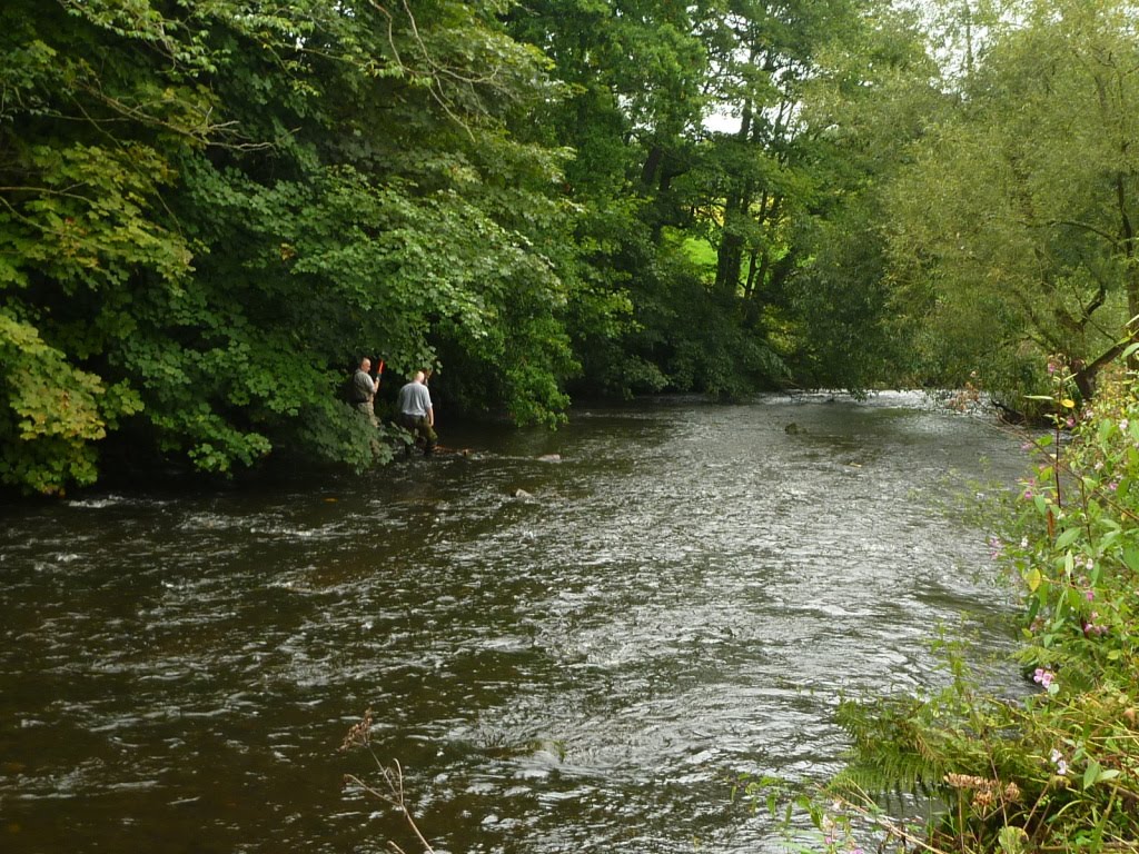 DNMAC River Goyt restoration