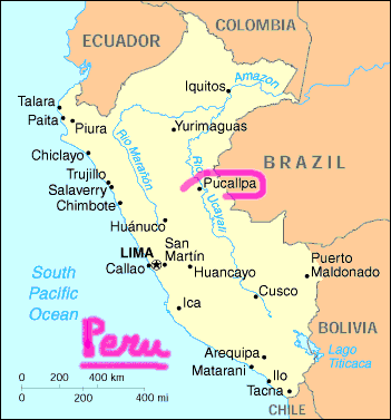 .: Back to the Jungle!! Pucallpa