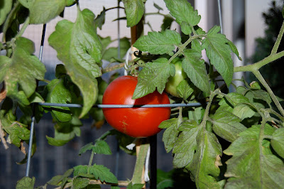 Ex 'Cuse Us: Our postgrad adventures