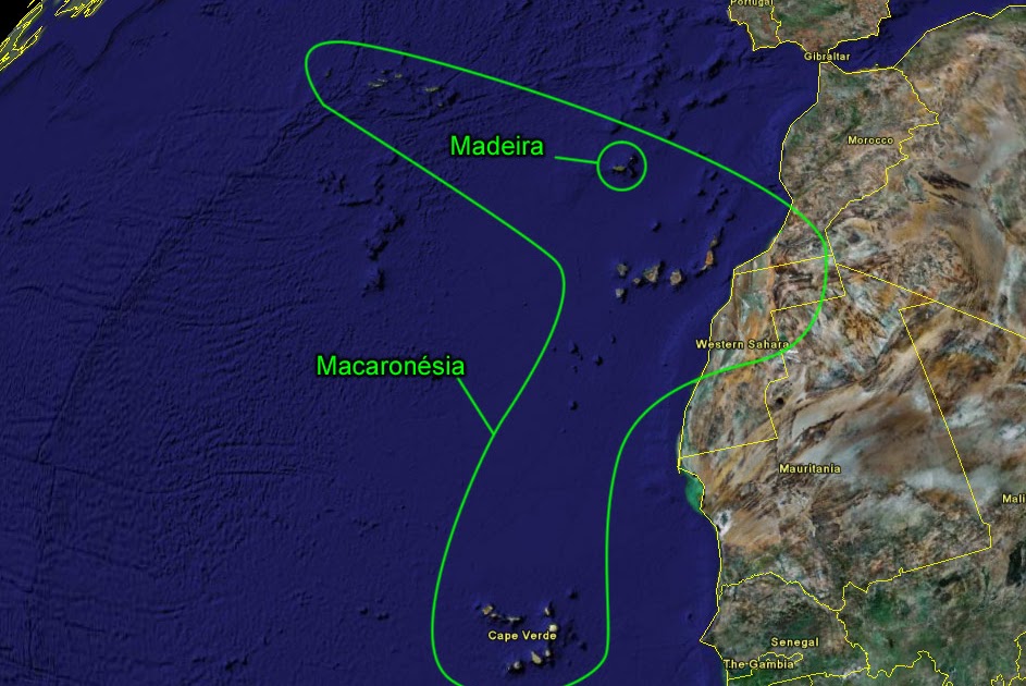 Birding Canarias: La Lista Top 100 de la Macaronésia